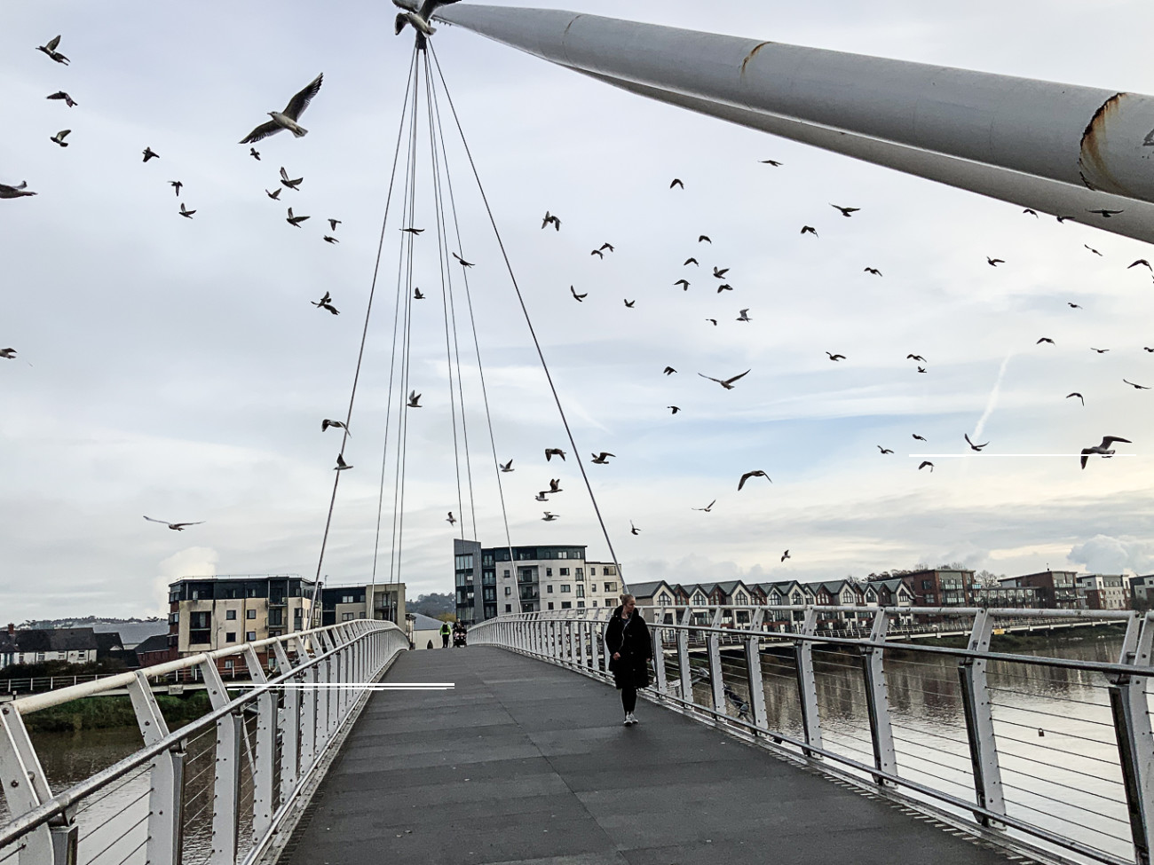 Marion Cheung - Blog