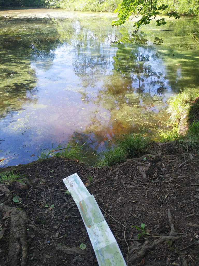 Marion Cheung - Blog